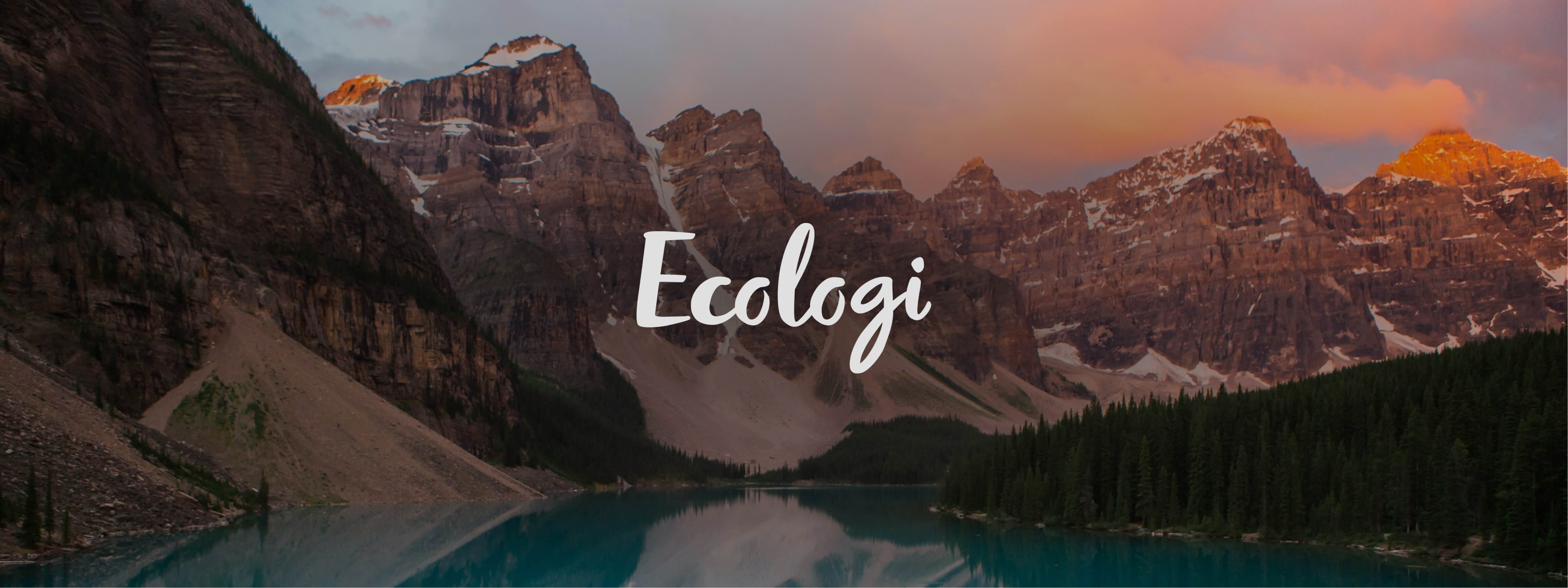 Ecologi | Case Study